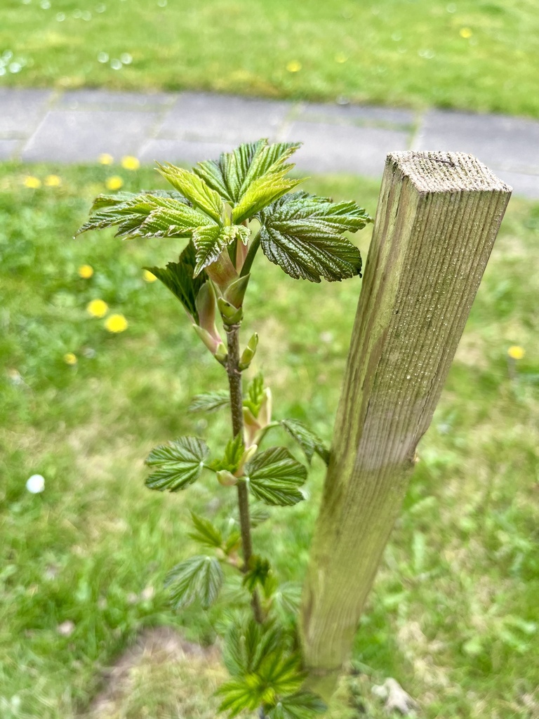 Something from Alan Turing Road, Loughborough, England, GB on April 6 ...