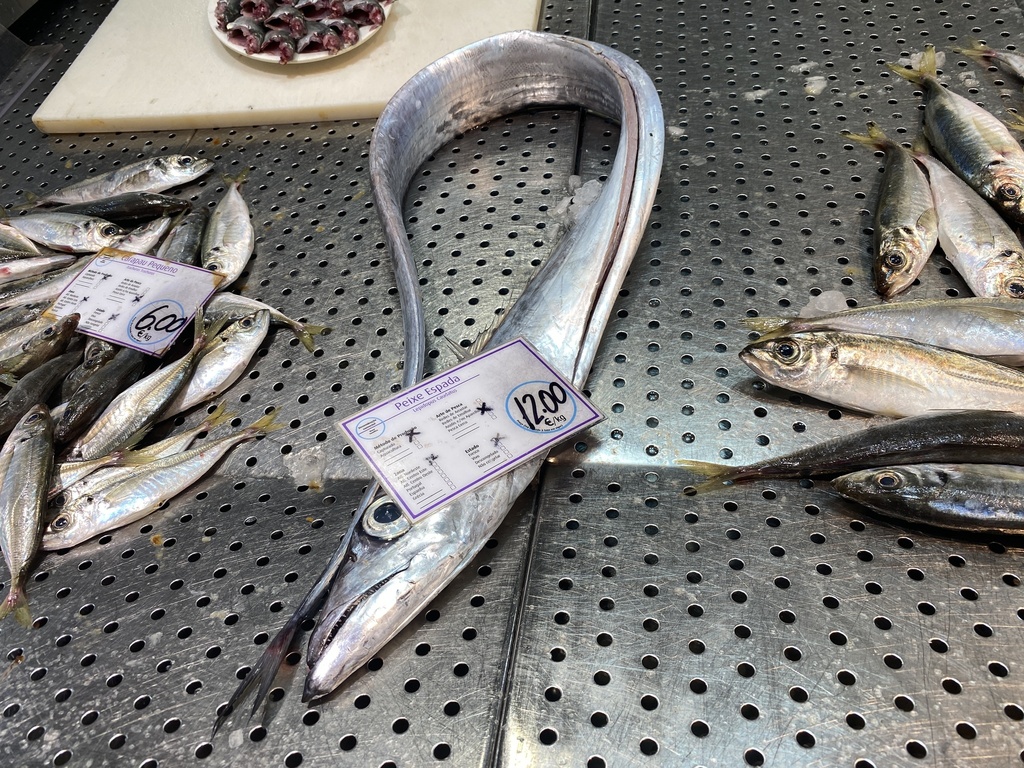 Frostfish from Mercado Municipal de Faro, Faro, Algarve, PT on April 12 ...