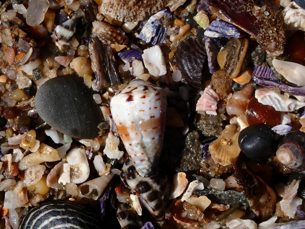 Music Cone from Angourie NSW 2464, Australia on April 9, 2024 at 01:32 ...