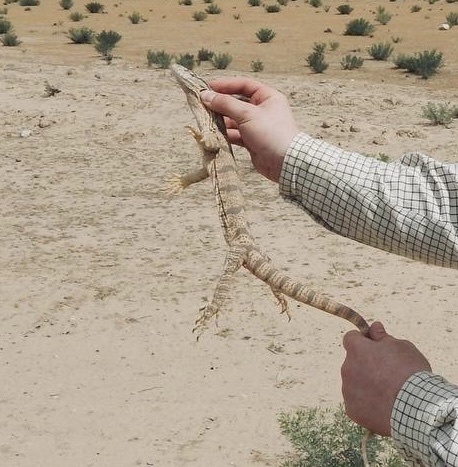 Caspian Monitor from Самарканд, UZ on April 16, 2024 at 01:31 PM by ...
