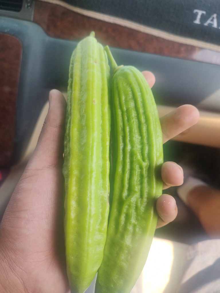 Cuachilote desde 48983 Emiliano Zapata, Jal., México el 15 de abril de ...