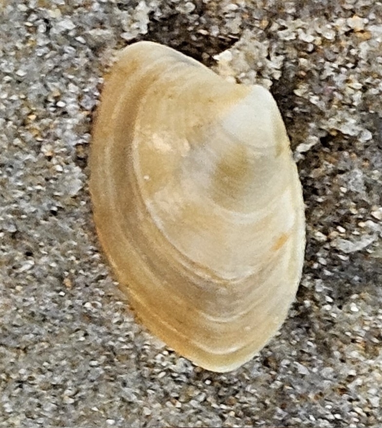 Bassina from Australia on April 11, 2024 at 05:21 PM by whittie ...