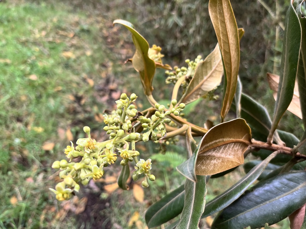 Andea from Sabaneta, Granada, Cundinamarca, CO on April 20, 2024 at 12: ...