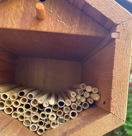 Houdini Fly from Mason Bee House on April 21, 2024 by jero77. 2 Houdini ...
