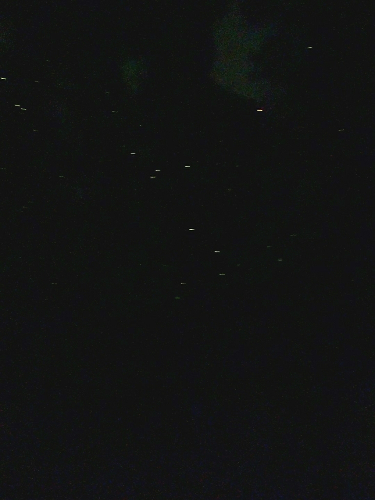 Flashing Fireflies in April 2024 by Chayant Gonsalves · iNaturalist