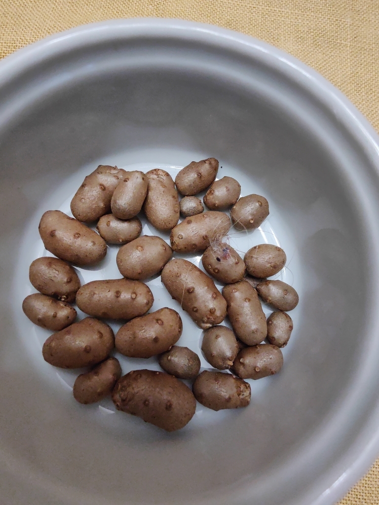 Something from Baltimore Pike & State St, Media, PA 19063, USA on ...