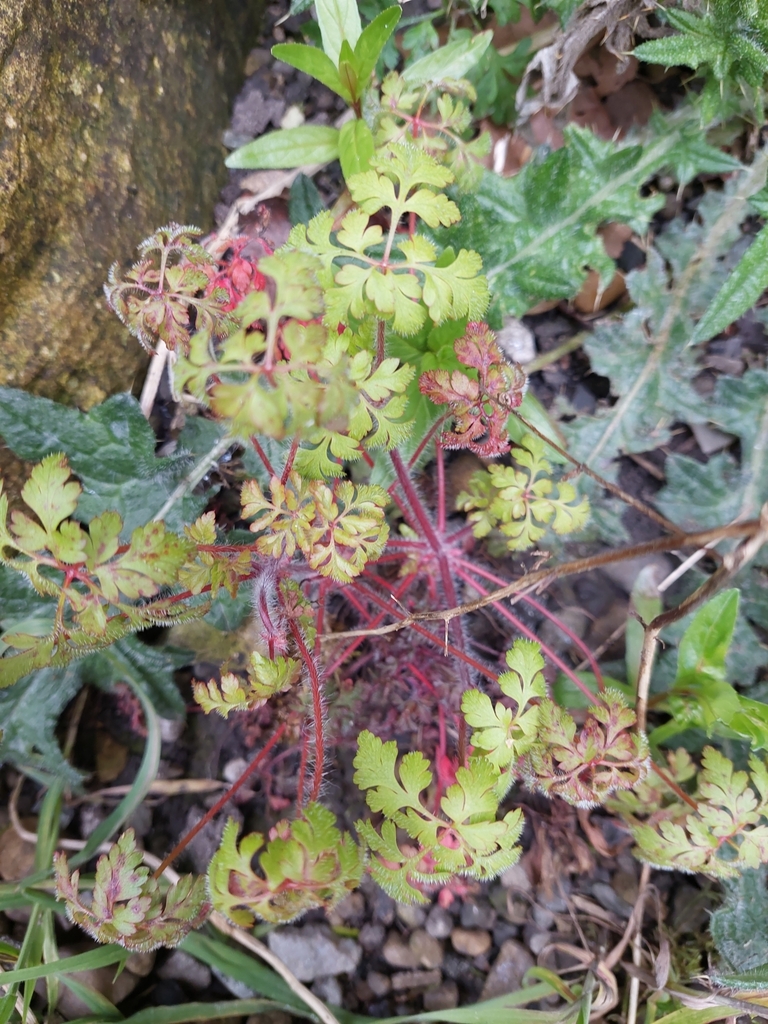 Ruberta from Museum Street, York YO1 7DR, UK on April 26, 2024 at 01:11 ...