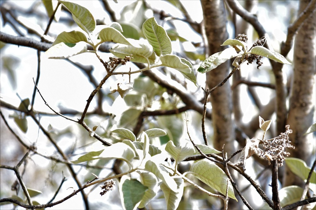 tepozan from C.U., Ciudad de México, CDMX, México on April 26, 2019 at ...