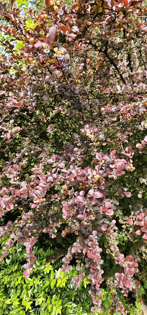 Something from Saltaire, Saltaire, Shipley BD18 3LF, UK on April 30 ...