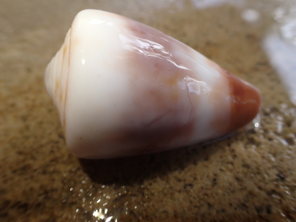 Mile Cone from Karang Asem, ID-BA, ID on May 1, 2024 at 11:21 AM by ...