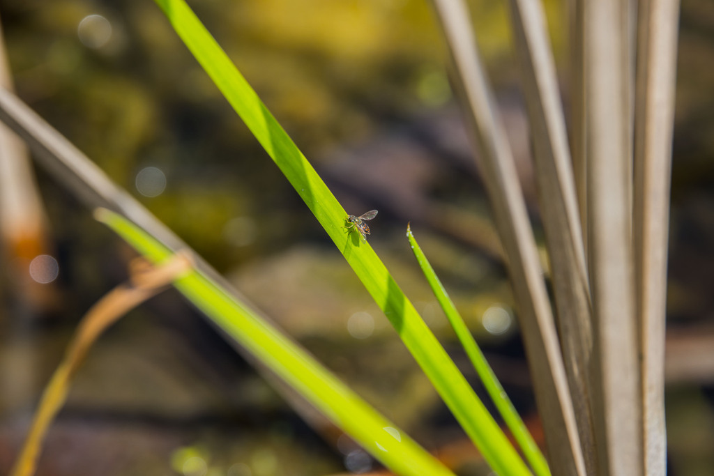 Margined Calligrapher from Dupage County, IL, USA on May 1, 2024 at 12: ...