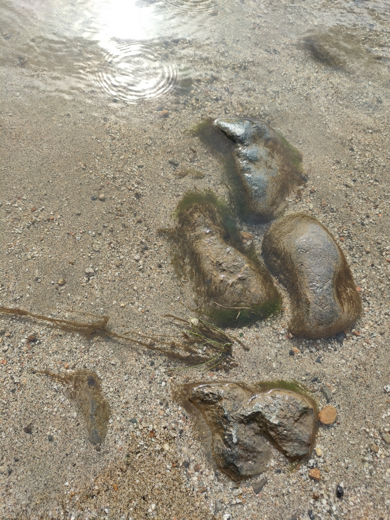 Water Nets from Macará, Ecuador on May 3, 2024 at 03:38 PM by xavier ...