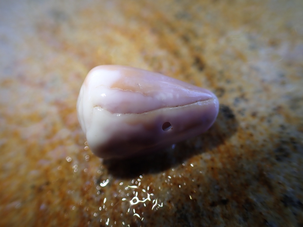 Rat Cone from Karangasem Regency, Bali, Indonesia on May 4, 2024 at 05: ...