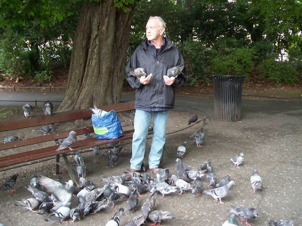 Feral Pigeon from Dublin, Ireland on July 16, 2017 at 10:01 PM by ...