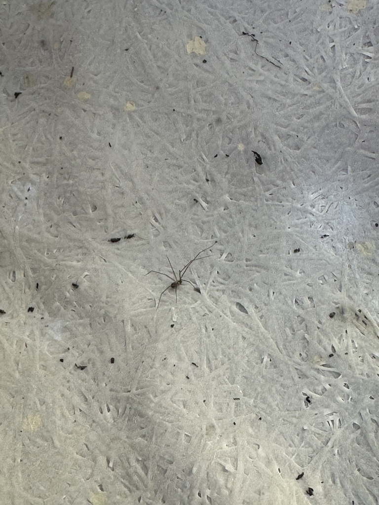 Something from Progress Park, Paramount, CA, US on May 9, 2024 at 05:01 ...