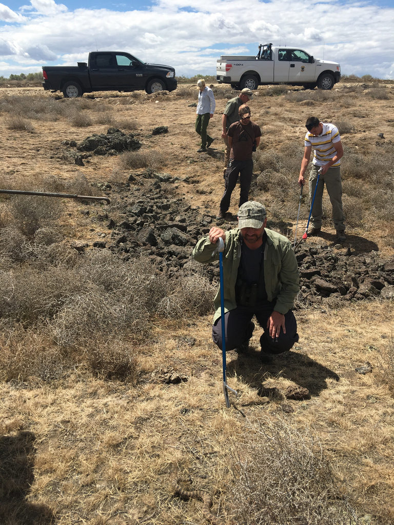 Great Basin Rattlesnake in May 2016 by Charles R. Peterson · iNaturalist
