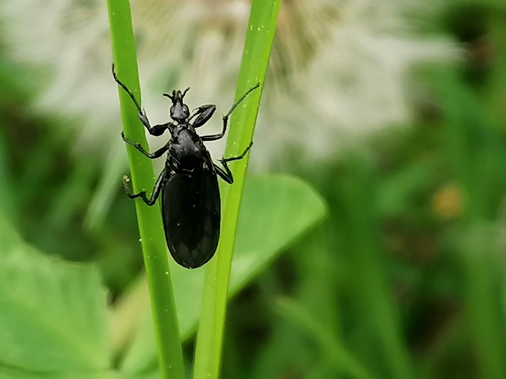 Fever Fly from 032 13 Vlachy, Slovensko on May 11, 2024 at 03:50 PM by ...