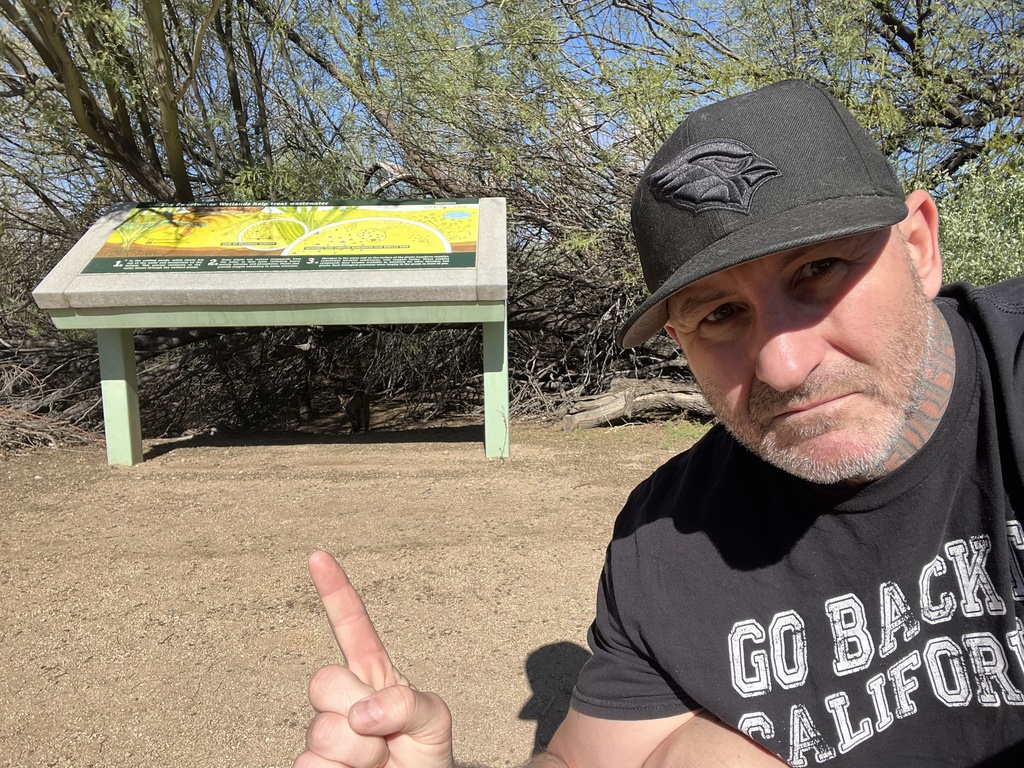 Bobcat from Sweetwater Wetlands, Tucson, AZ, US on February 13, 2024 at ...