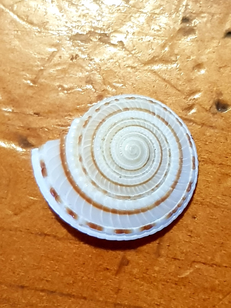 Clear Sundial from Underwater World Langkawi, Pantai Cenang, 07000 ...