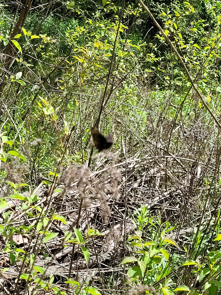 Skippers from Essex, ON, Canada on May 12, 2024 at 01:20 PM by Ed ...