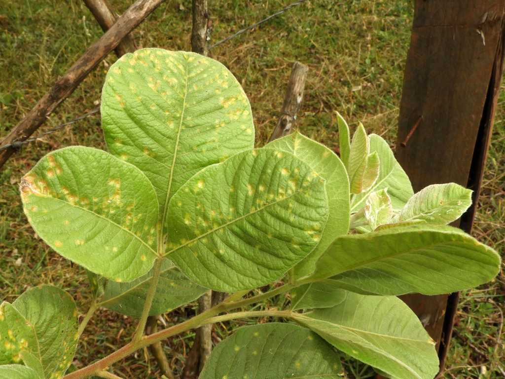 Life from Kapsaret, Kenya on December 31, 2023 at 03:36 PM by Mike ...