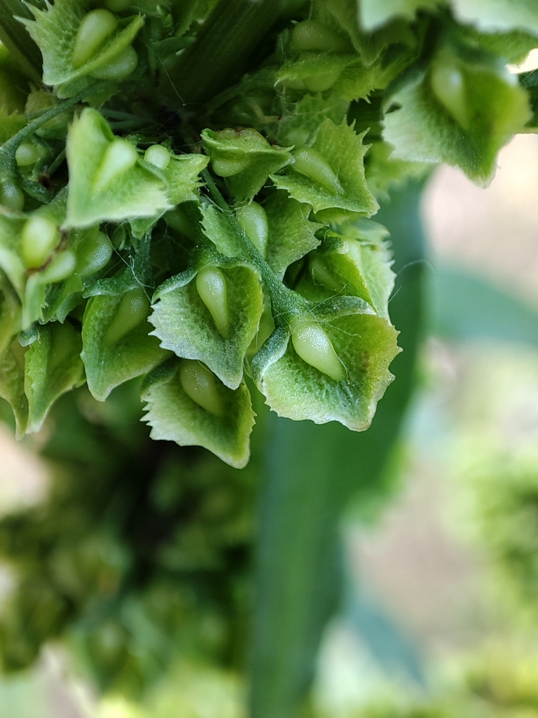 Japanese Dock from Beijing, Beijing, CN on May 20, 2024 at 05:27 PM by ...