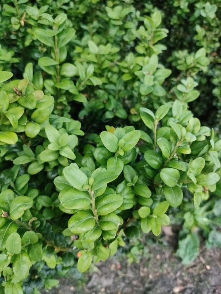 common box from Liverpool L17 1AP, UK on May 20, 2024 at 08:10 PM by ...