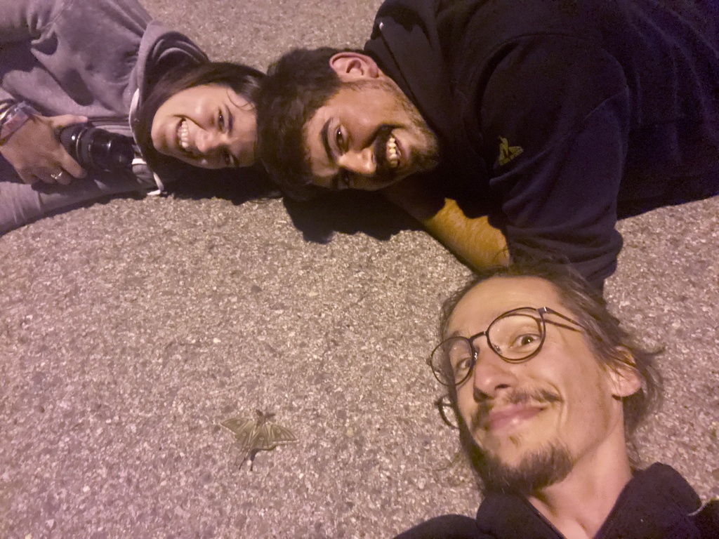 Spanish Moon Moth in May 2024 by Léo Souillard. Sous lampadaire Avec ...