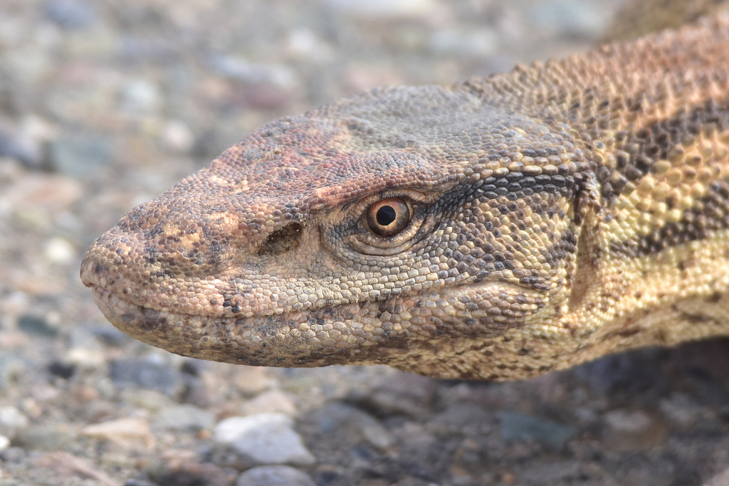 Caspian Monitor from Отырар ауданы, Қазақстан on May 21, 2024 at 03:27 ...