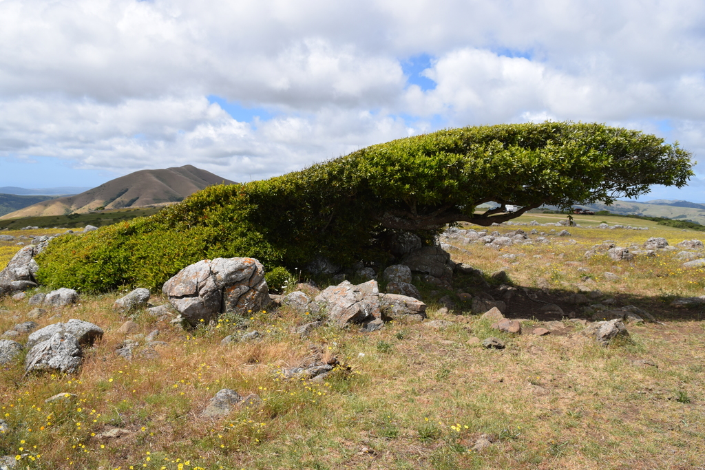 California bay from Nicasio Ridge on May 20, 2016 at 02:32 PM by ...