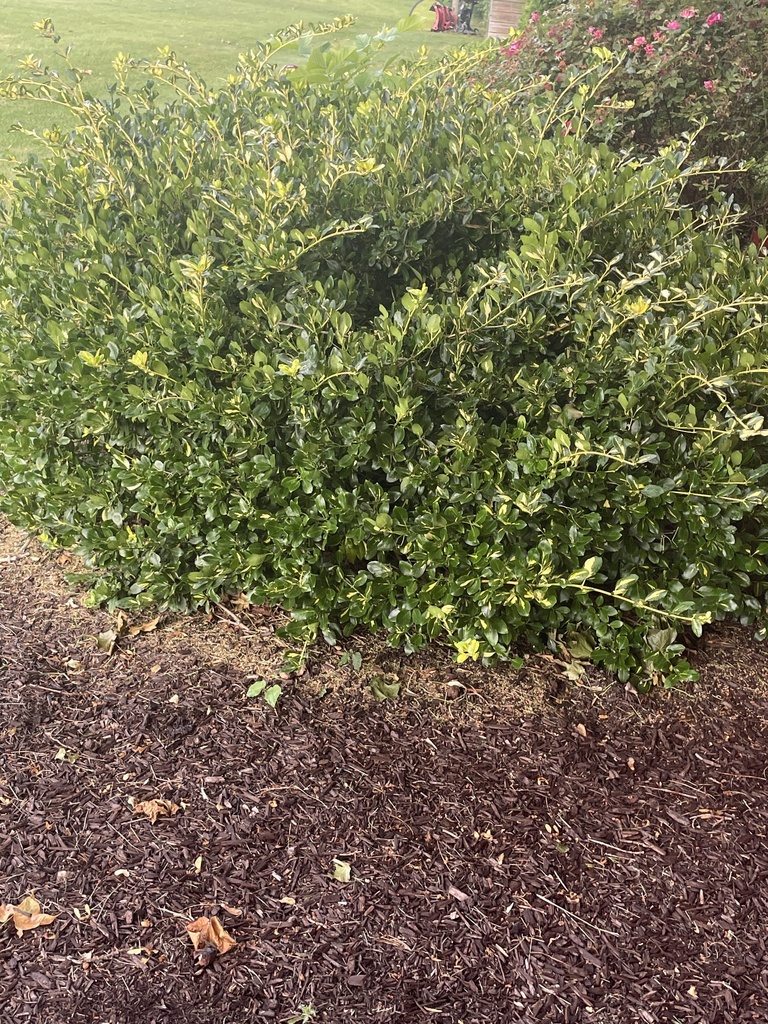 common box from Park Ave, Grottoes, VA, US on June 3, 2024 at 06:20 PM ...