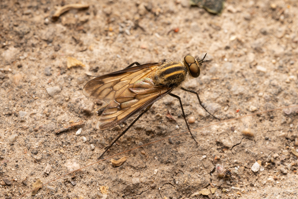 Thereva from 中国北京市海淀区 on June 4, 2024 at 02:07 PM by Yushi Wang ...