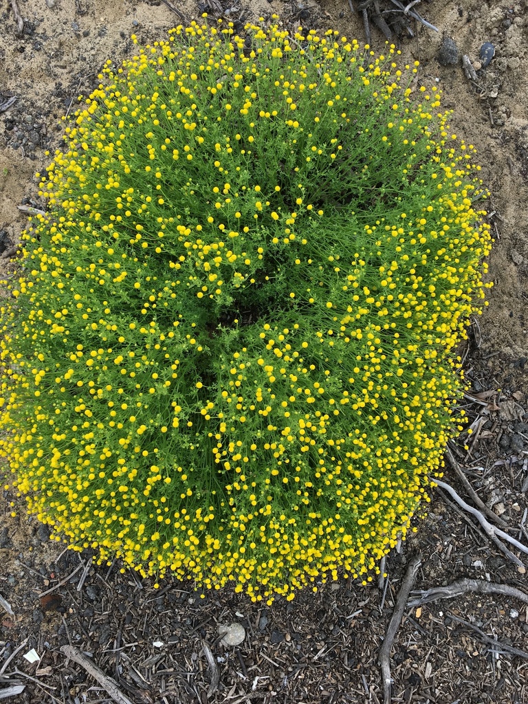 stinknet from San Diego, California, United States on May 9, 2019 at 12 ...