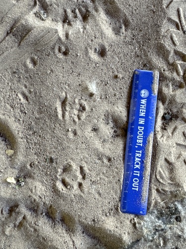 iNaturalist Tracking Database – NatureTracking