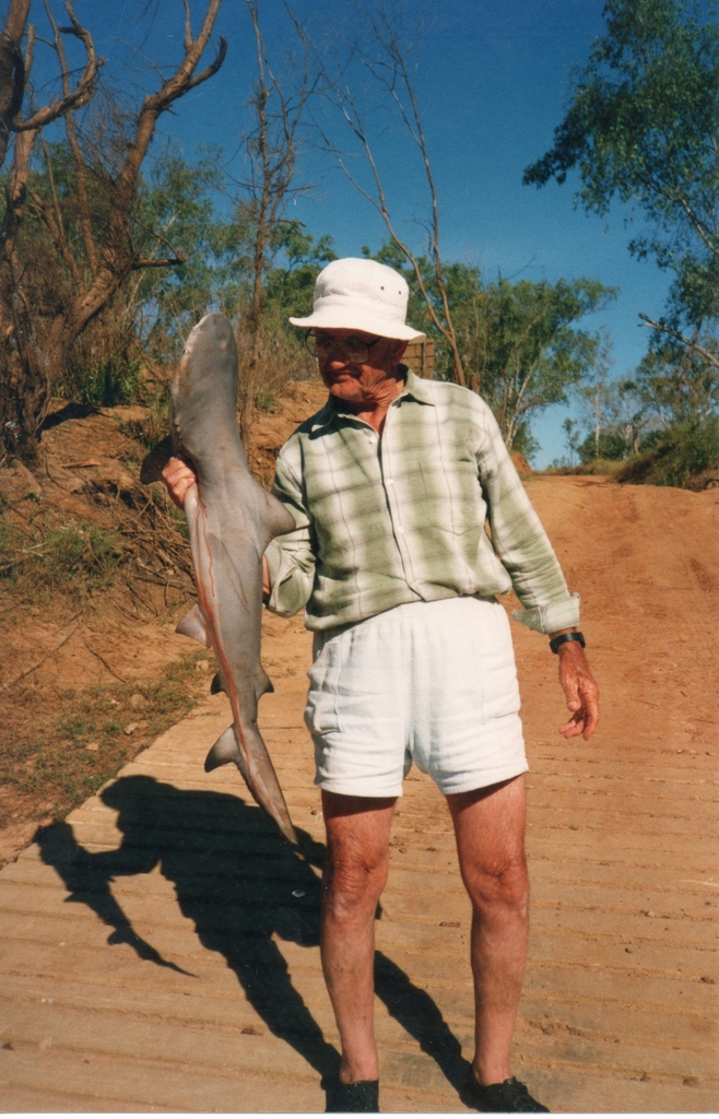 Sharks from Limmen NT 0852, Australia on May 23, 2001 by Roy T Smalley ...