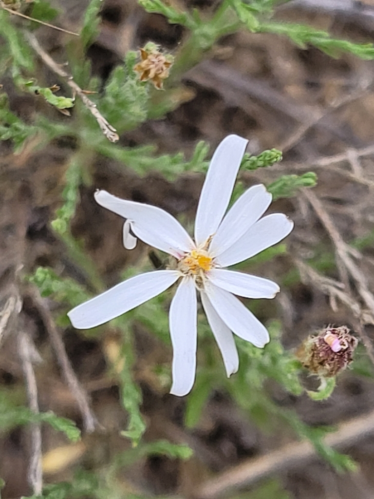 Rose Heath from Meeker, CO 81641, USA on June 20, 2024 at 04:46 PM by ...