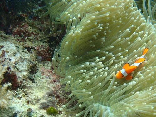 Photo 400051885, (c) Maria Shaffer-Gordon, some rights reserved (CC BY ...