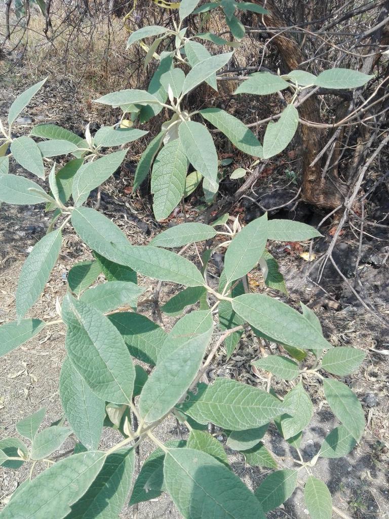 tepozan from C.U., Ciudad de México, CDMX, México on May 27, 2019 at 10 ...