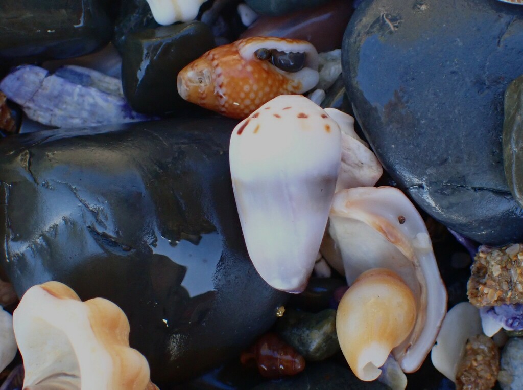 Music Cone from Woolgoolga NSW 2456, Australia on July 02, 2024 at 08: ...