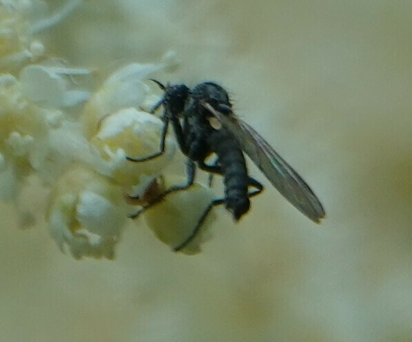 Balloon Flies from Mendenhall Lake, Juneau, AK 99801, USA on July 9 ...