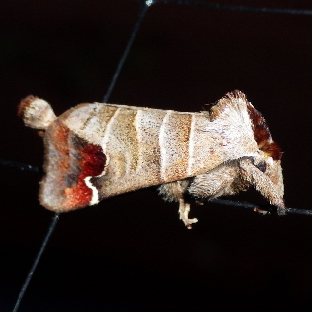 Sigmoid Prominent from 5373 Fitzgerald Rd, Burdett, NY 14818, USA on ...