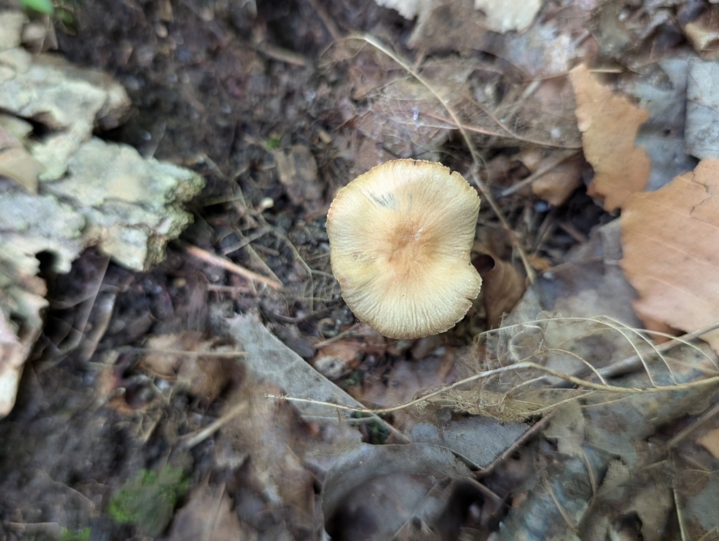 Webcaps from Highland Recreation Area on July 20, 2024 at 10:40 AM by ...