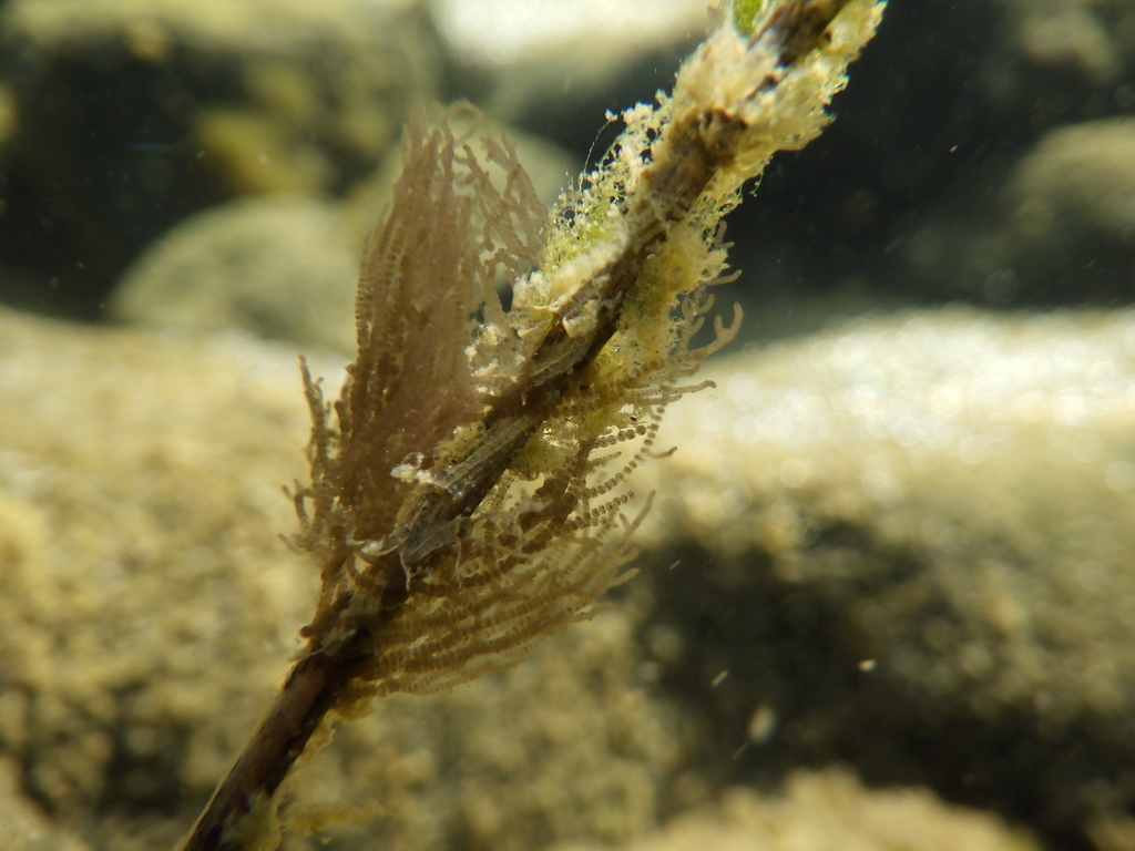 Animals from Spokane, WA, USA on July 20, 2024 at 05:31 PM by Gary ...