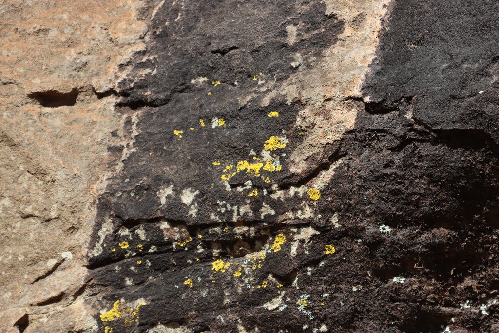 common lichens from west to Lakes Cave, above Nhlabeni River, entering ...