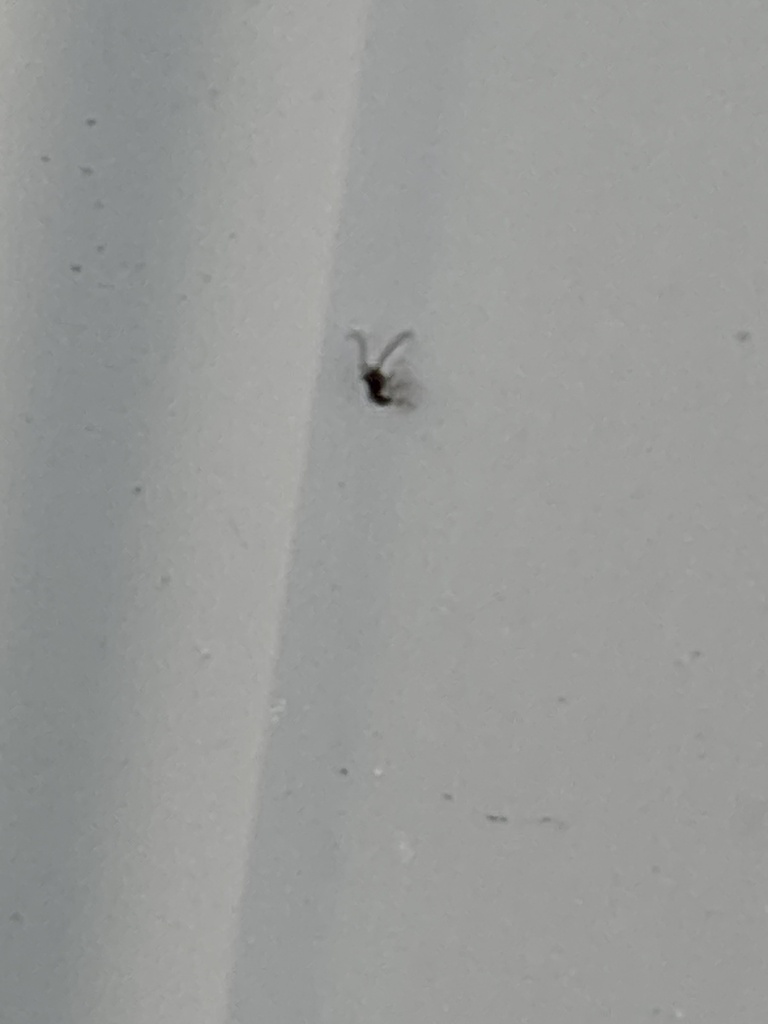 Something from Barootes Way, Regina, SK, CA on July 29, 2024 at 06:20 ...