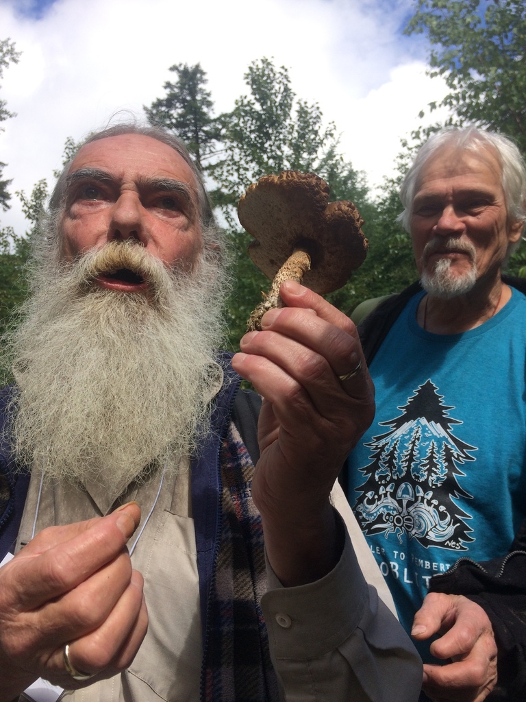 Brown Birch-bolete from Squamish-Lillooet C, , BC, CA on June 08, 2019 ...