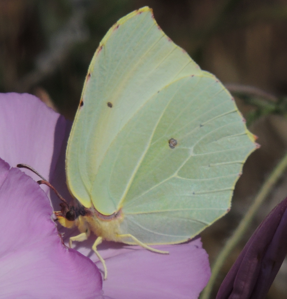 Cleopatra from Protaras, Cyprus on April 20, 2013 at 10:50 AM by ...