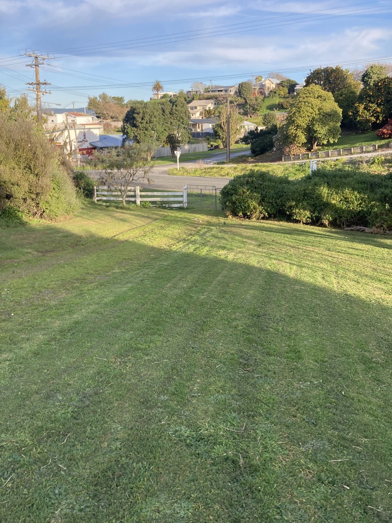 California Quail from Kawhia, New Zealand on August 3, 2024 at 04:24 PM ...