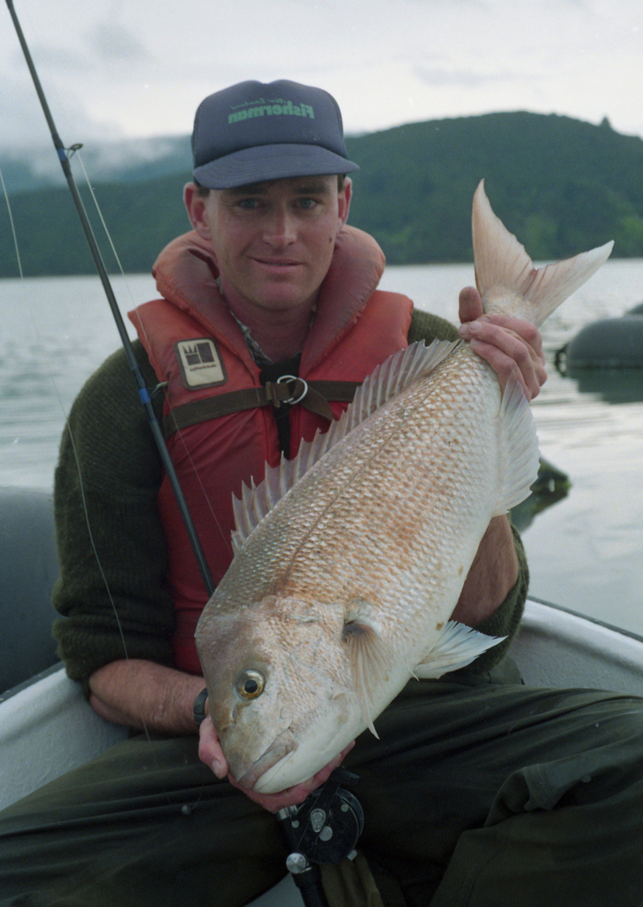 Snapper from Marlborough, New Zealand on December 10, 1993 at 12:43 PM ...
