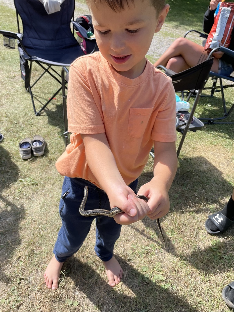 Common Garter Snake from Posen, MI, US on August 11, 2024 at 03:54 PM ...